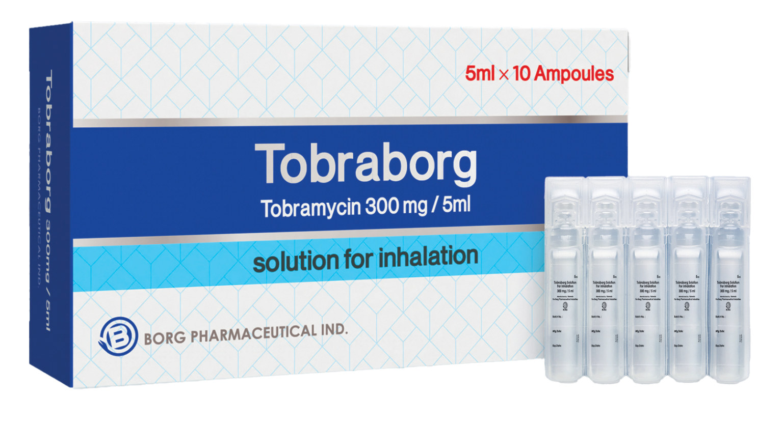 Borg | Tobraborg - Borg